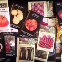 The Garden Plan – a thrilling plot